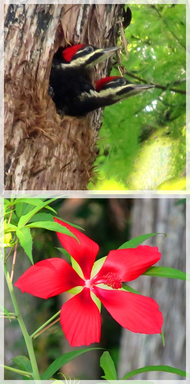 POINTING THINGS OUT | Devotions of the Heart