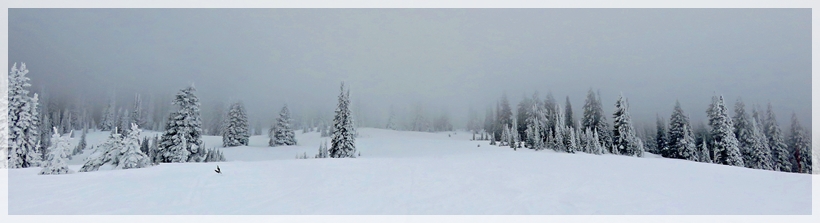 WINTER | Devotions of the Heart