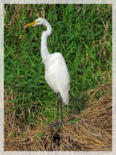 EXTEMPORANEOUS PRAYERS | Devotions of the Heart