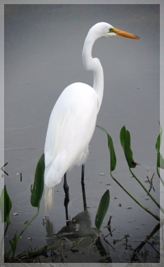 RENDER UNTO GOD (PART 2) | Devotions of the Heart